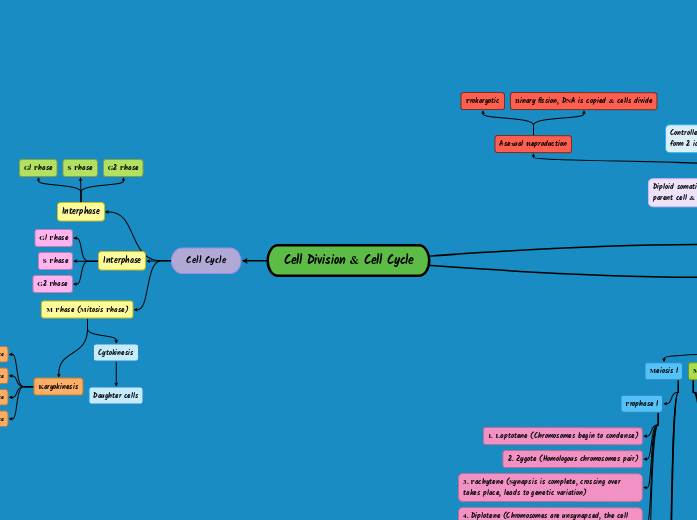 Task 1:Cell Division Concept Map - Mind Map